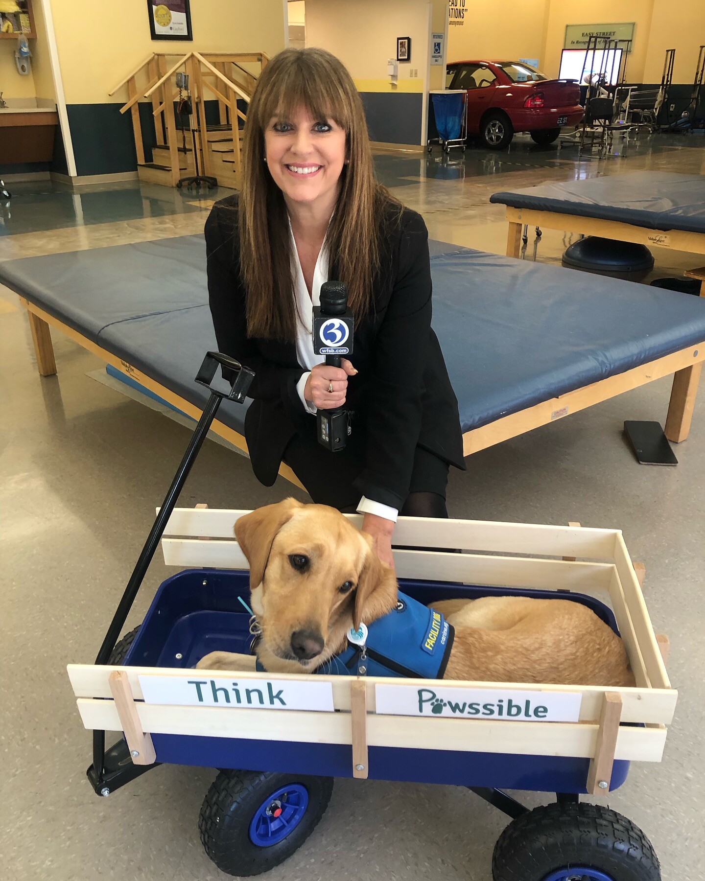 HELLO CONNECTICUT: Facility dog Mandy makes big difference at Gaylord ...